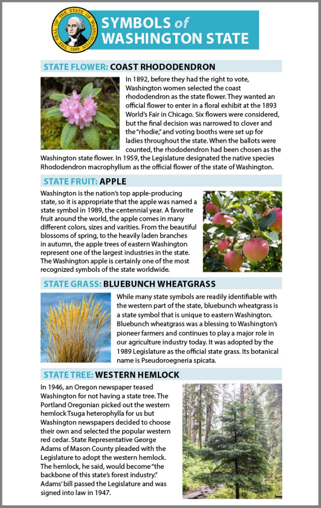 Educational Materials